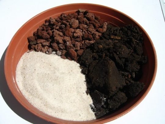 Tipos de substratos – Orgânicos e Inertes - In-outdoor Hydroponics Brasil